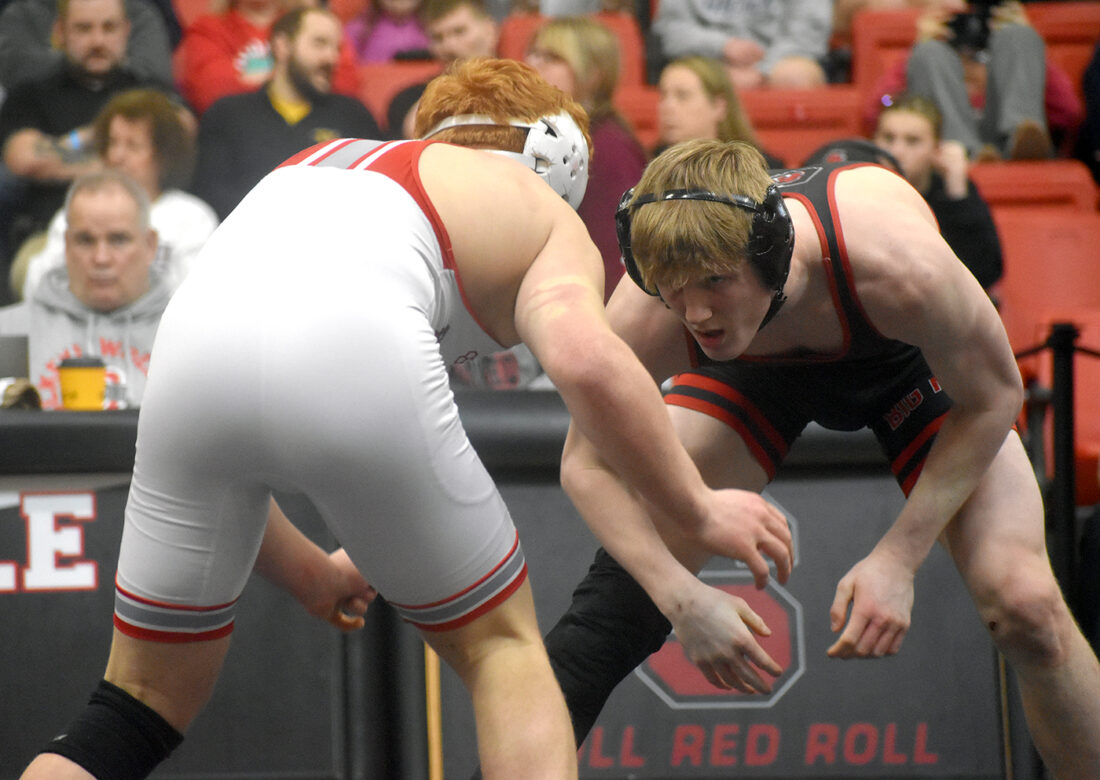 Hudson’s big pin gives Big Red share of D2 district title | News ...